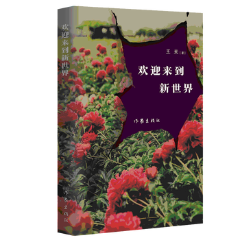 欢迎来到新世界（网络时代年轻作家的对世界和社会的观察视角和想象力）作家出版社 王米著
