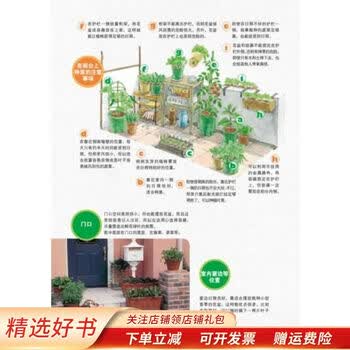 阳台种菜全家够吃