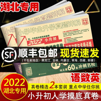 新版 小考湖北重点名校入学摸底真卷语文数学英语武汉小学毕业升学真题详解五六年级小升初冲刺名校训练