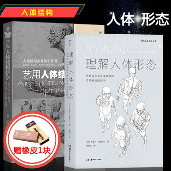 【满300减30】经典速写大全游戏动漫理解人体形态素描解剖人体结构零基础入门 游戏动漫艺用人体结构教