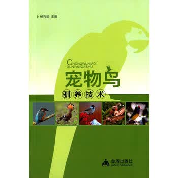 宠物鸟驯养技术