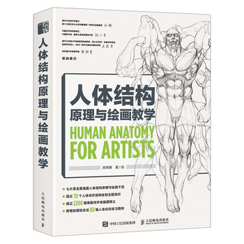人体结构原理与绘画教学