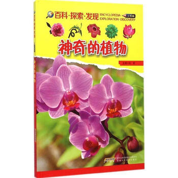 百科·探索·发现:神奇的植物(少年版）（四色）946-1 张哲 安徽科学技术出版社,时代出版传媒股份