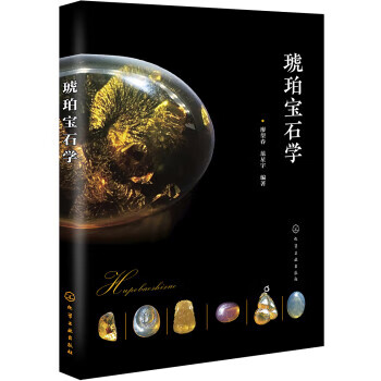 琥珀宝石学 廖望春 化学工业出版社有限公司