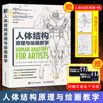 人体结构原理与绘画教学 春哥基础教程书艺用人体解剖伯里曼教学游戏动漫人体造型手绘素描速写动漫绘画教程