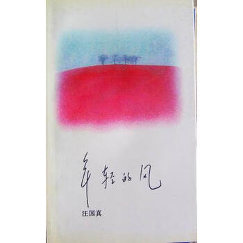 年轻的风 汪国真