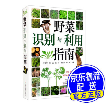 野菜识别与利用指南
