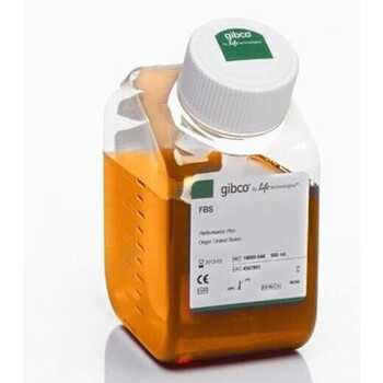 定制Gibco 10099-141胎牛血清，优级，血源 500ML 10099141【图片 价格 品牌 报价】-京东
