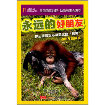 永远的好朋友 艾米·谢尔德