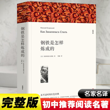 钢铁是怎样练成的 世界经典文学名著初高中推荐阅读 图书