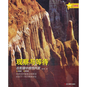 RT正版 在影像中感悟风景-观察与等待-版