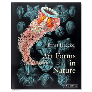 Art Forms in Nature 来自大自然的艺术 博物学家Ernst Haeckel 恩斯特·海克尔 自然生物版画艺术画册 英文原版