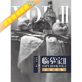 临摹宝2 素描静物