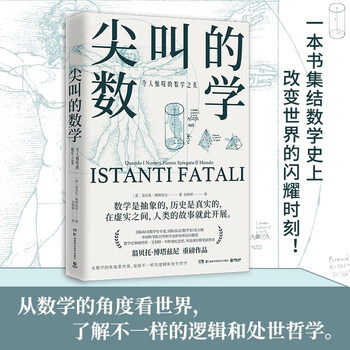 尖叫的数学 令人惊叹的数学之美（国际数学杂志《数学史》前主编翁贝托·博塔兹尼带你从数学的角度看世界） 尖叫的数学