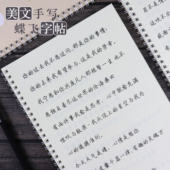 硬笔速写奶酪字体字帖女生漂亮练字帖大学生楷书红神仙霸气手写 蝶飞体单本