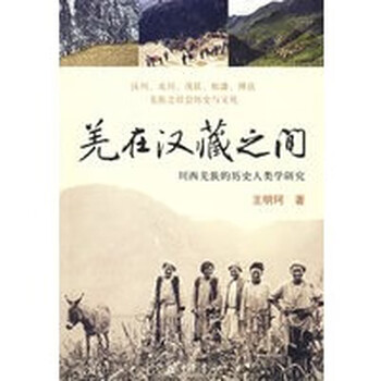 羌在汉藏之间 王明珂 中华书局