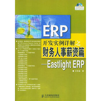 ERP开发实例详解之财务人事薪资篇 王东迪 著【正版书】