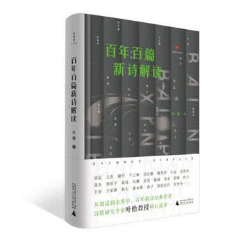 诗想者·读经典  百年百篇新诗解读 图书