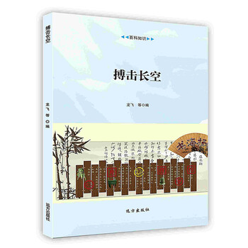 [按需印刷]搏击长空