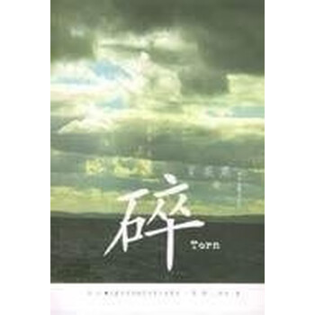 碎 夏果果 时代文艺出版社