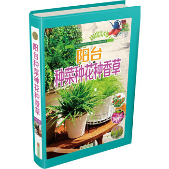 阳台种菜种花种香 白虹