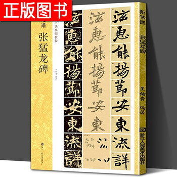 张猛龙碑 新书谱中国书法基础教程 魏碑字帖 张猛龙原碑帖精讲 高清笔画书技法教程章法结构集字创作入门临摹行楷书毛笔书法教材程
