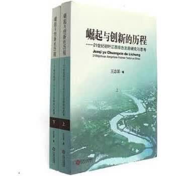 崛起与创新的历程 王志国 江西人民出版社