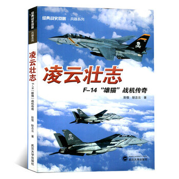 凌云壮志-F~14雄猫战机传奇