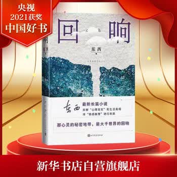 【2021中国好书】回响 东西长篇小说 余华、冯小刚、陈建斌倾情推荐