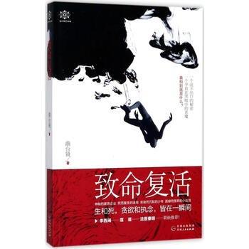 致命复活澹台镜 著 