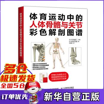 体育运动中的人体骨骼与关节彩色解剖图谱