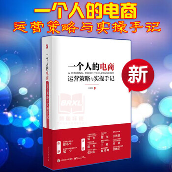 一个人的电商：运营策略与实操手记（双色）