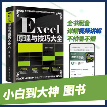 现货正版 Excel原理与技巧大全 刘伟 北京大学出版社