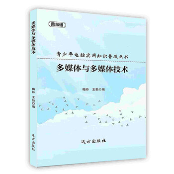 [按需印刷]多媒体与多媒体技术