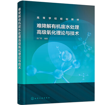 难降解有机废水处理高级氧化理论与技术
