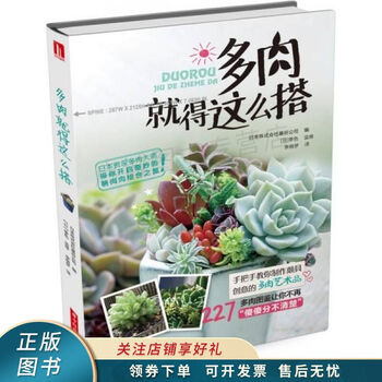 多肉就得这么搭