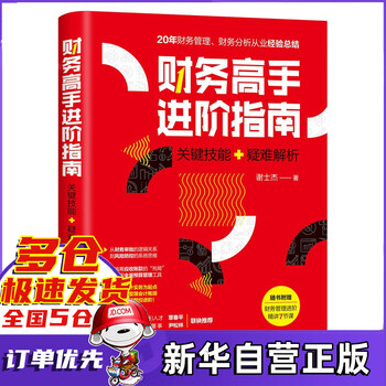 财务高手进阶指南 关键技能 疑难解析
