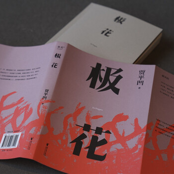 极花 长篇小说 插图修订版 贾平凹长篇力作 以真实事件为蓝本 书写女性被侮辱与被损害的创伤史  果麦文化出品