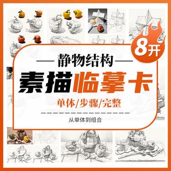 素描静物结构临摹卡8K 卡片高清精微石膏画卡单体明暗结构国美初级学照片作品自学基础入门画册书教材教学美术绘画对照描摹练习卡