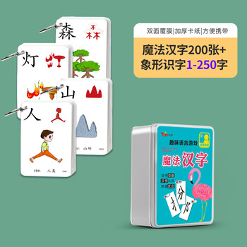 幼儿识字卡全套3000字儿童早教启蒙幼儿园宝宝认生字神器汉字卡片 象形字1-250字+魔法汉字