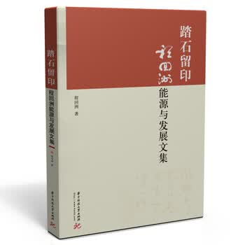 踏石留印：程回洲能源与发展文集