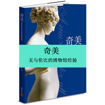 预售 范毅舜 奇美 无与伦比的博物馆经验 积木 台版原版 艺术设计