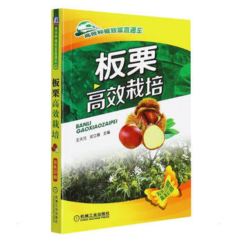 板栗高效栽培 图书