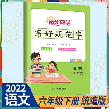 2022阳光同学写好规范字一二三四五六年级下册 六年级下册