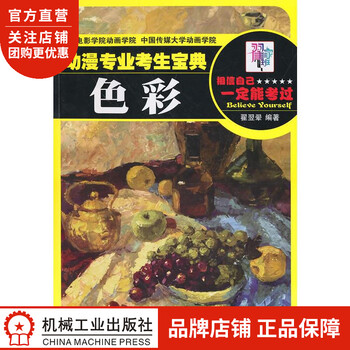 正版 动漫专业考生宝典--色彩翟翌翚1205657