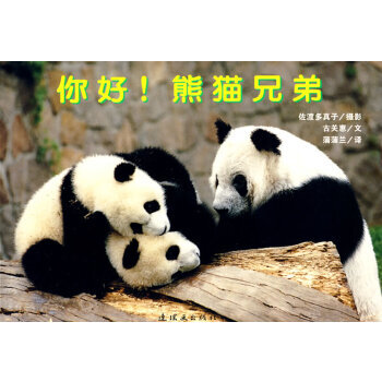 你好！熊猫兄弟【正版图书，放心下单】