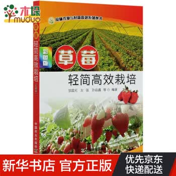 草莓轻简高效栽培(彩图版)/设施农业与轻简高效系列丛书