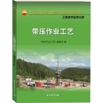 带压作业工艺 《带压作业工艺》编委会