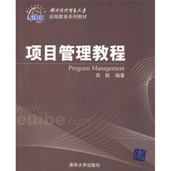 项目管理教程 高懿 清华大学出版社