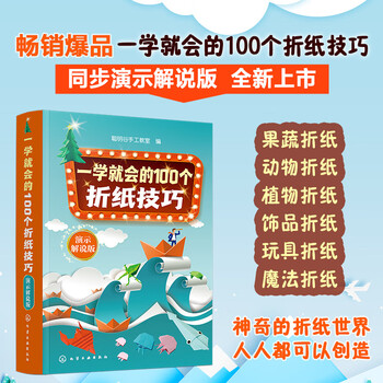 一学就会的100个折纸技巧（演示解说版）